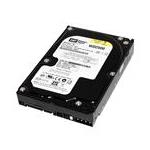 WD2500 Western Digital Hard Drive